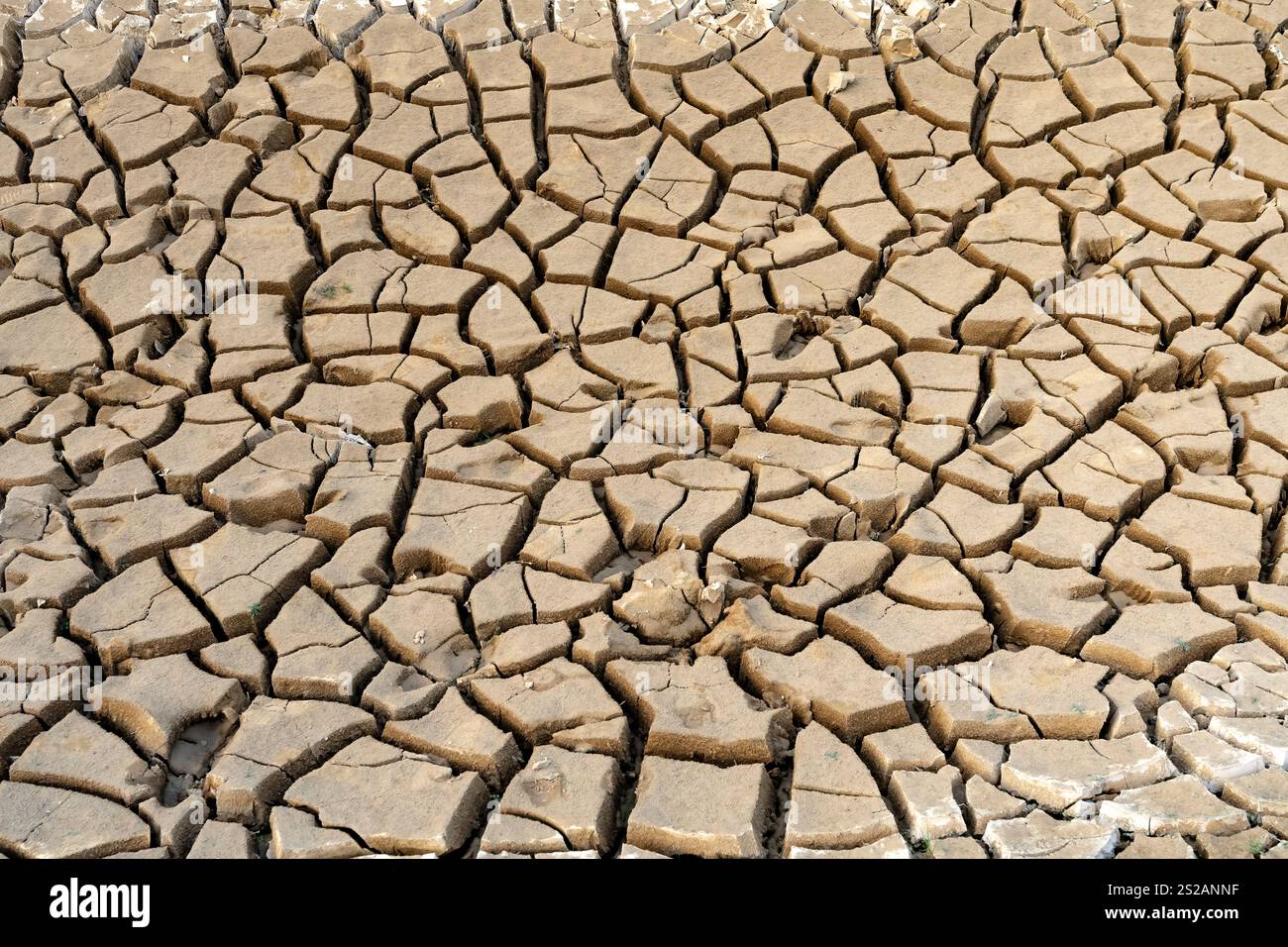 Brown dry soil or desert cracked ground texture background Stock Photo ...