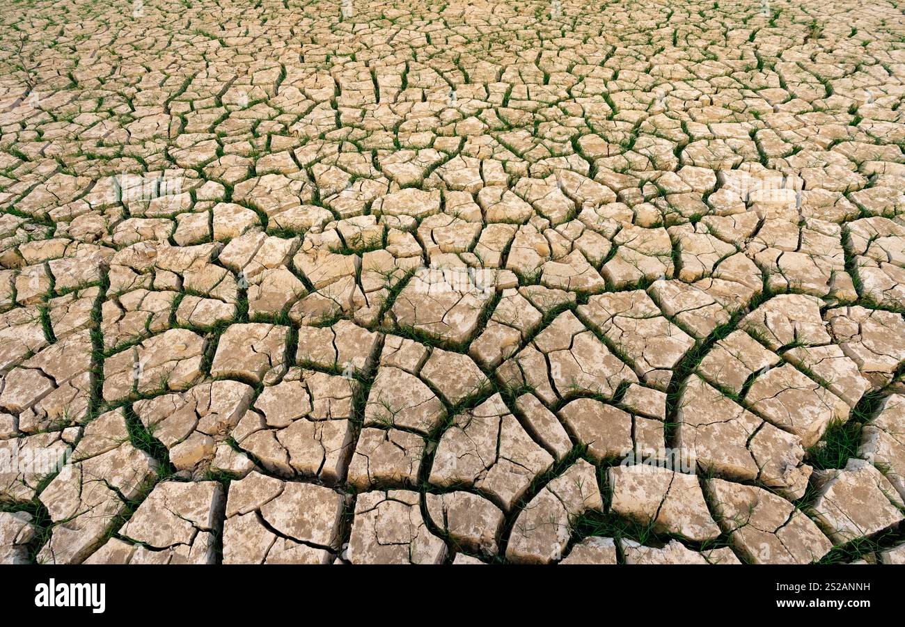 Brown dry soil or desert cracked ground texture background Stock Photo ...
