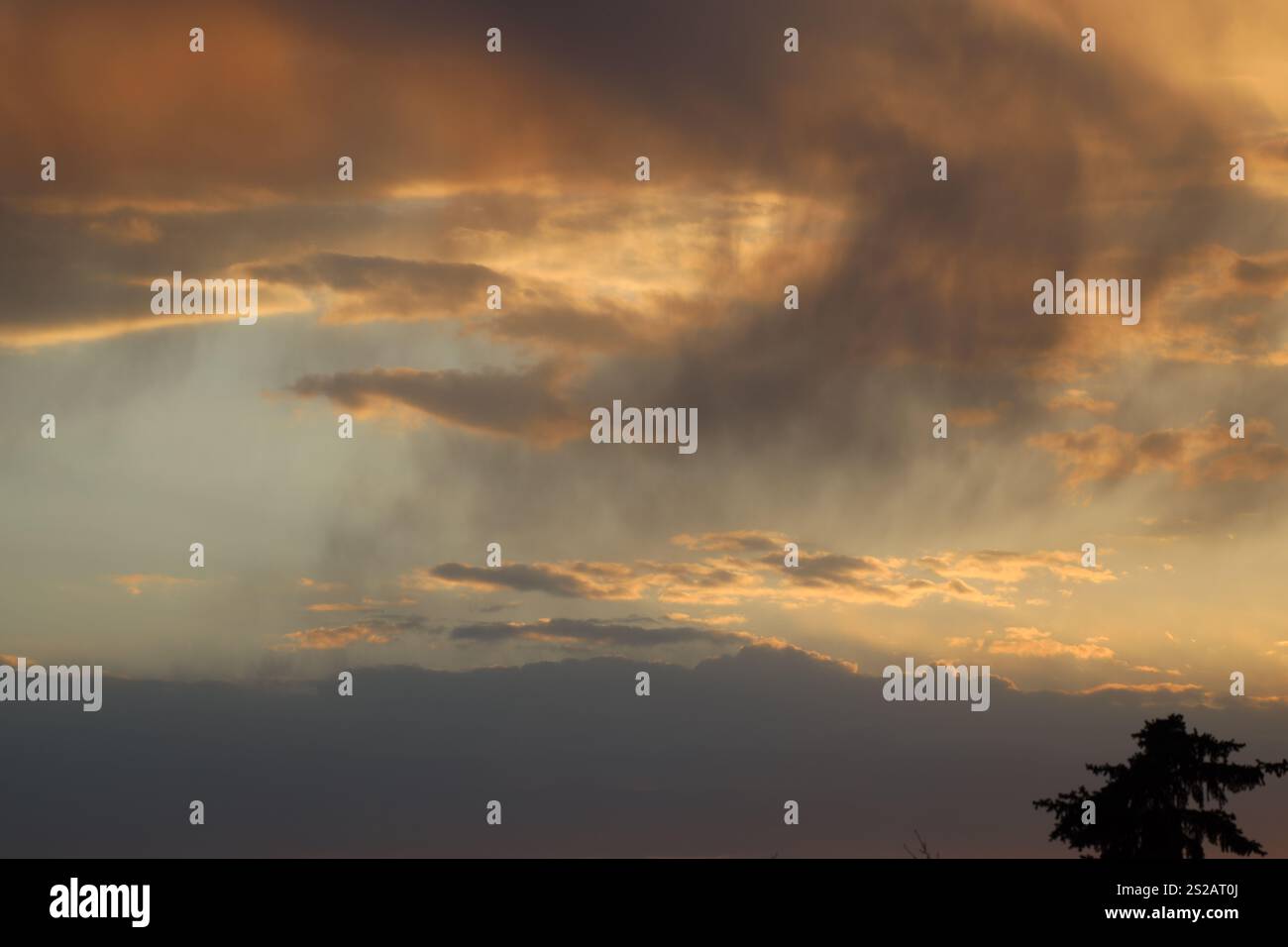 close-up swirls of rain fall from storm clouds at sunset Stock Photo ...