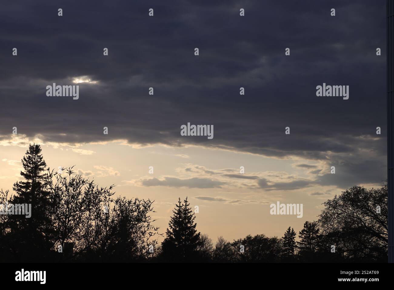 Dark trees and colorful sky hi-res stock photography and images - Alamy