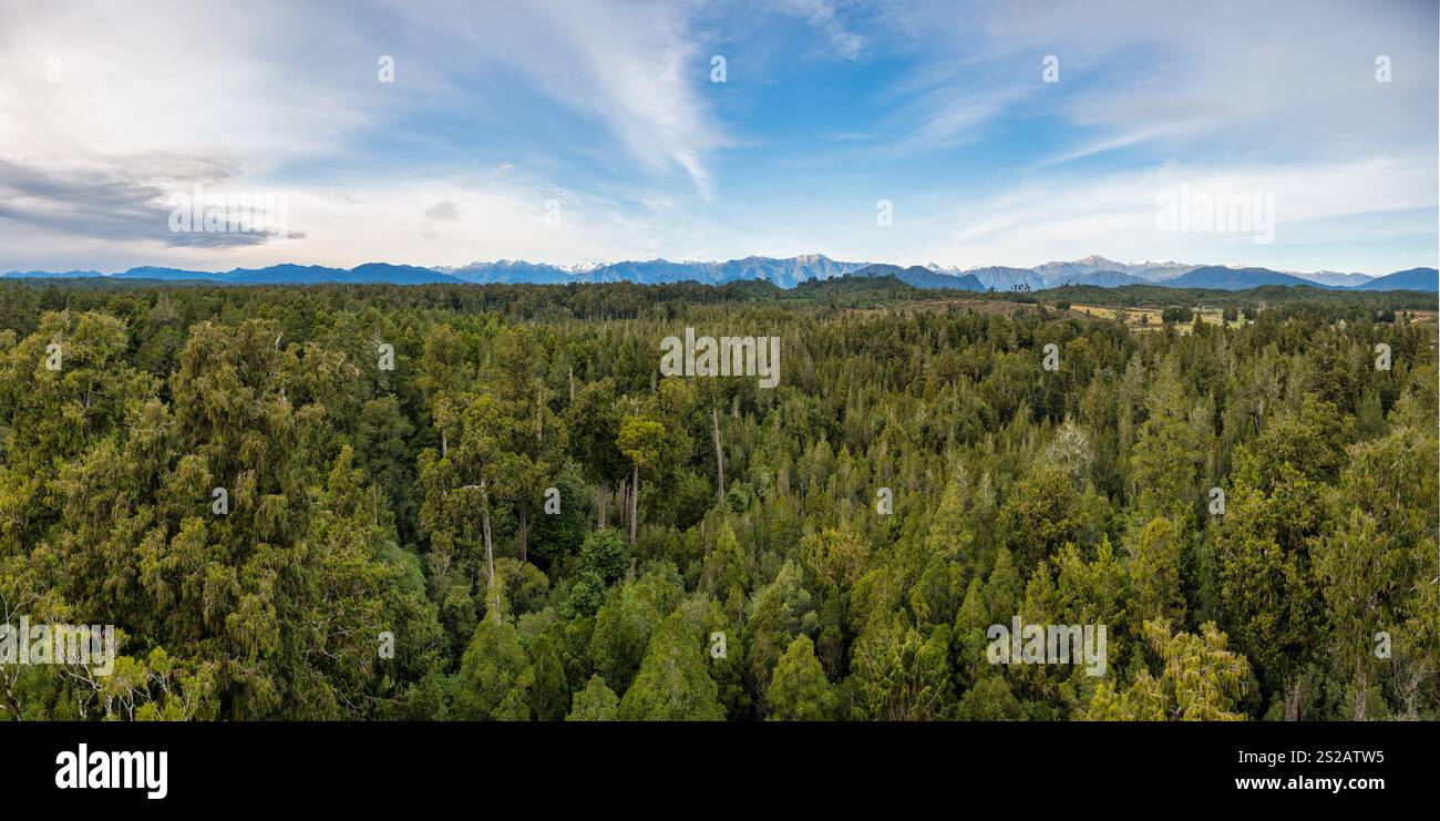 Looking over the forest canopy at Hokatika's tree walk Stock Photo - Alamy