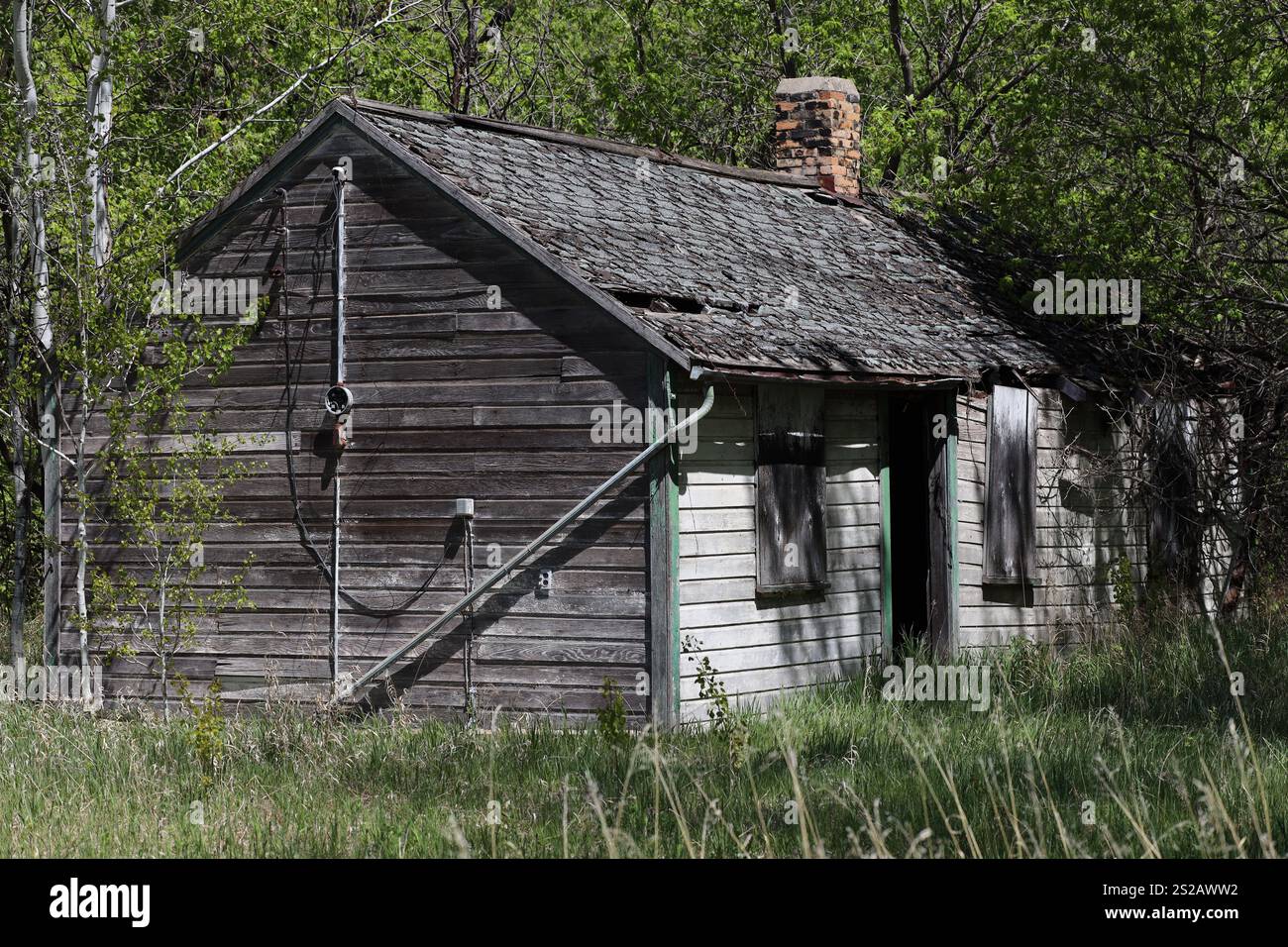 abandoned building overgrown by trees Stock Photo - Alamy