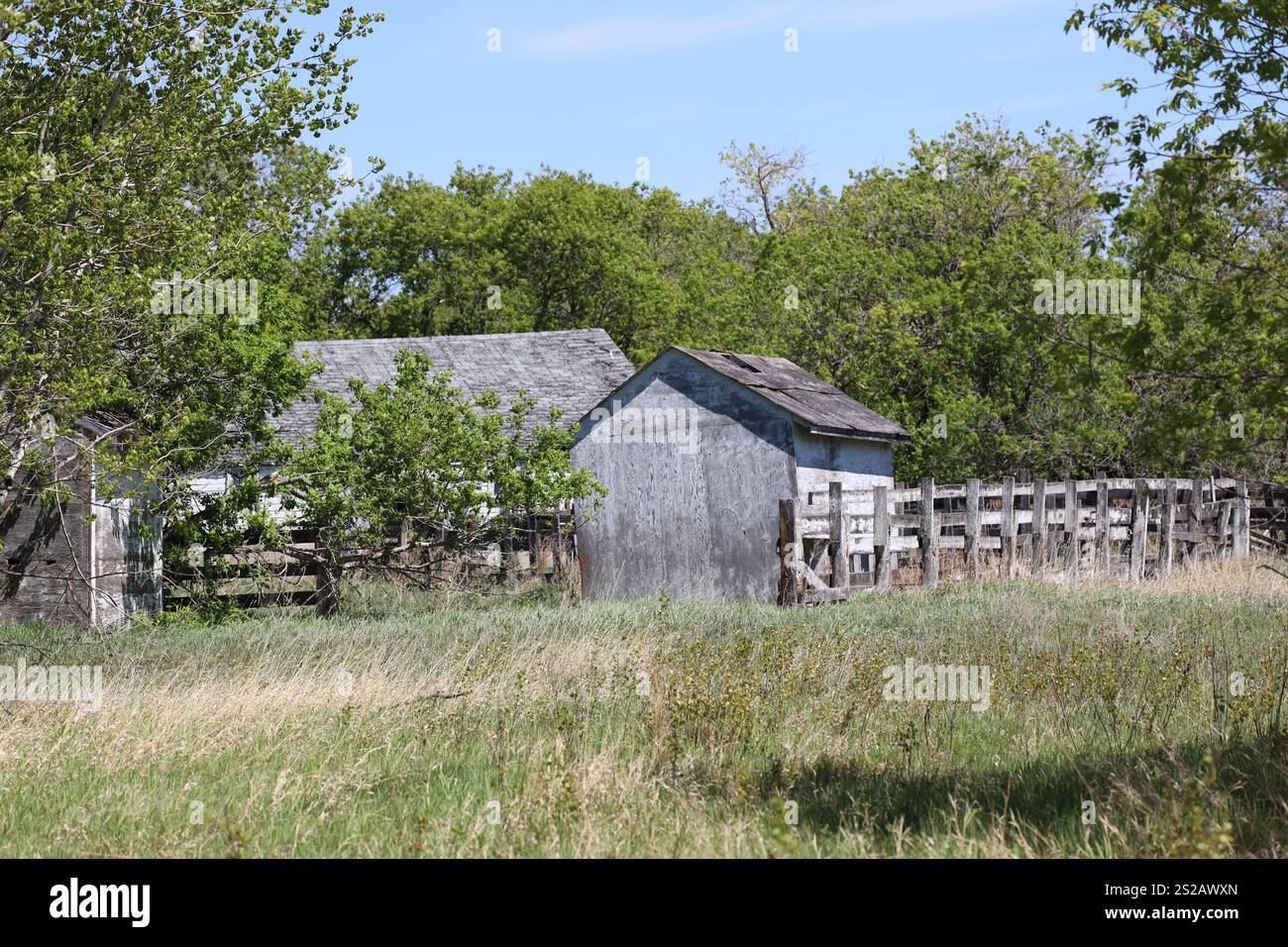 cluster of vintage farm buildings in compound with wood fences Stock ...