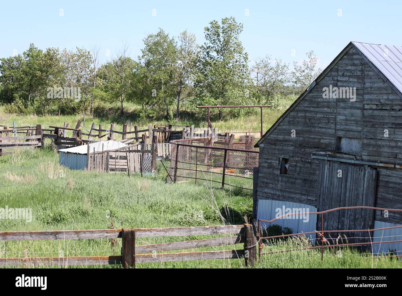 rustic barn farm building and overgrown paddock under summer sun Stock ...