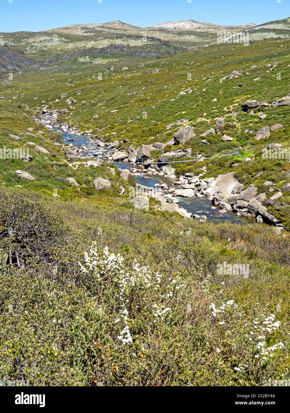Illawong bridge hi-res stock photography and images - Alamy