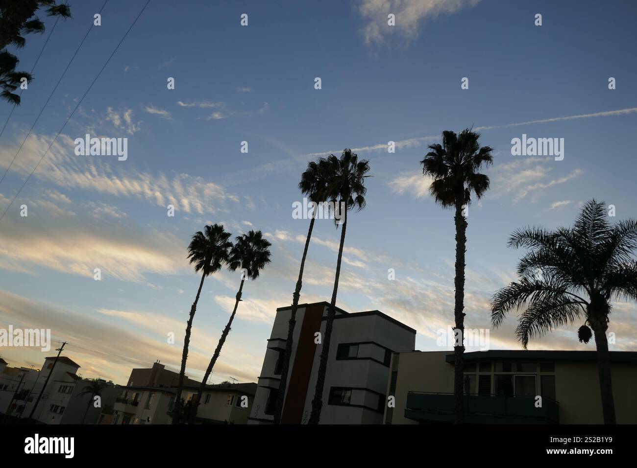 Los Angeles, California, USA 6th January 2025 Sunset and Palm Trees on ...