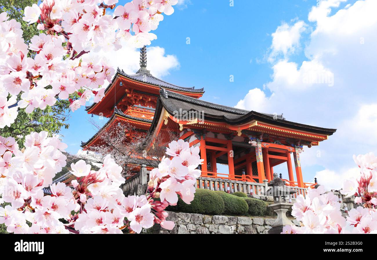 Ancient pavilion and blooming sakura branches, Kiyomizu-dera Temple ...