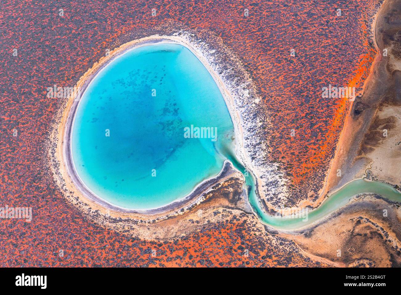 Little Lagoon, Shark Bay, Western Australia aerial view Stock Photo - Alamy