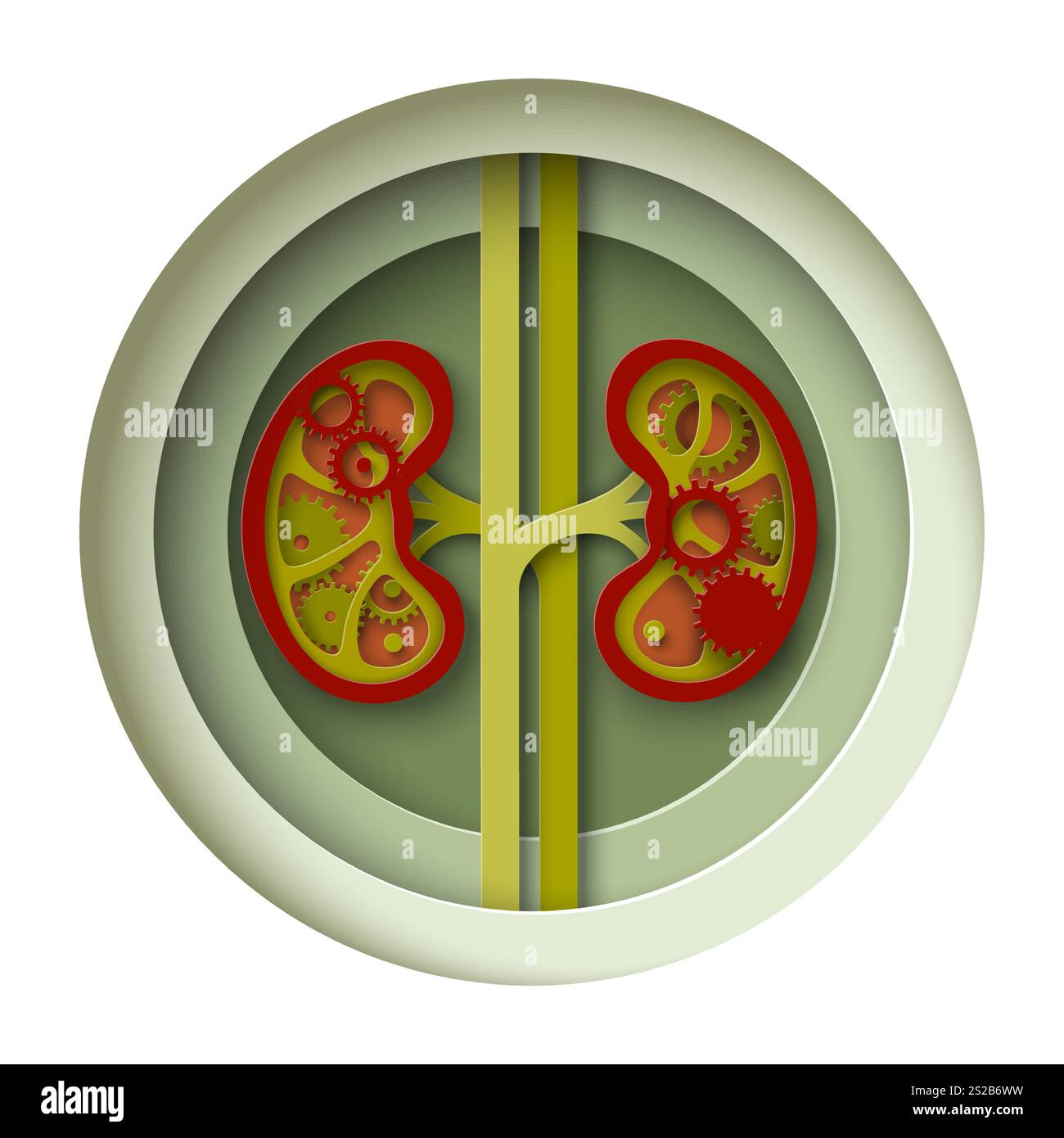 Human kidney internal organ work process paper cut craft vector ...