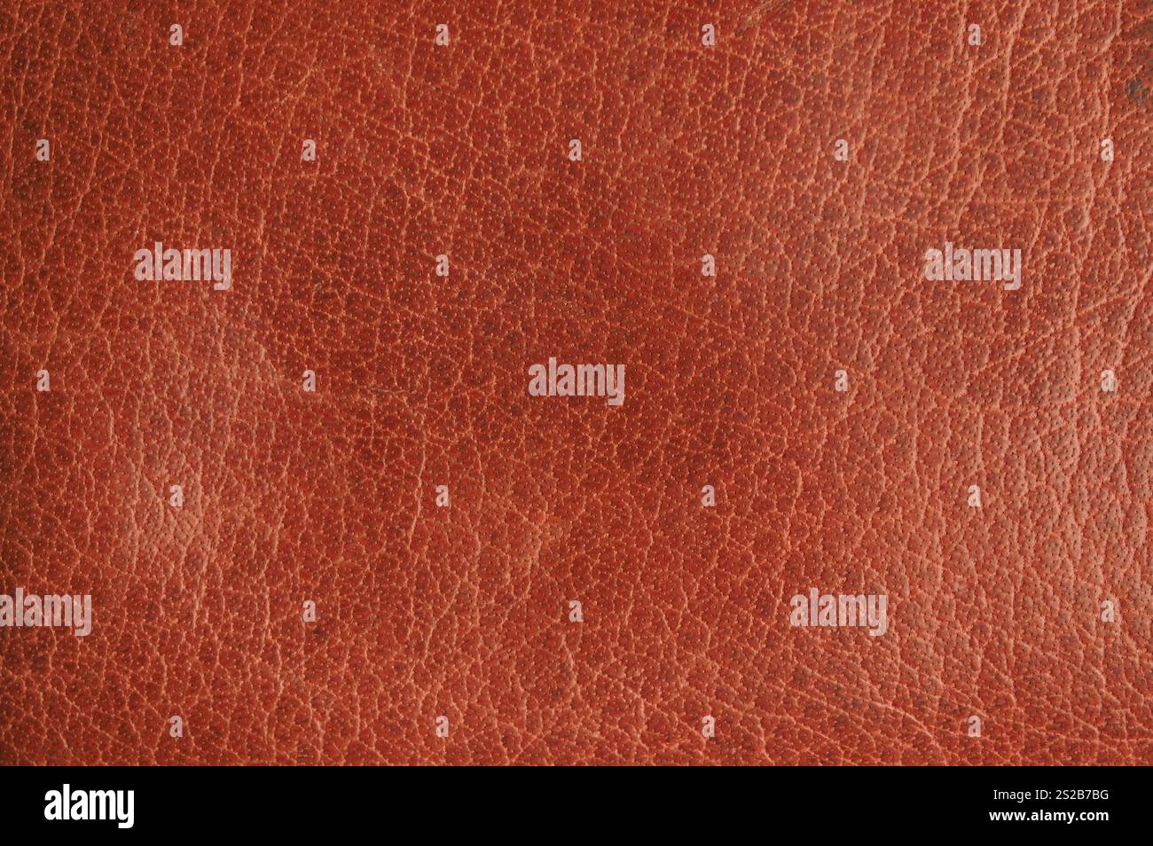 Beautiful texture of a fine brown leather surface using as background ...