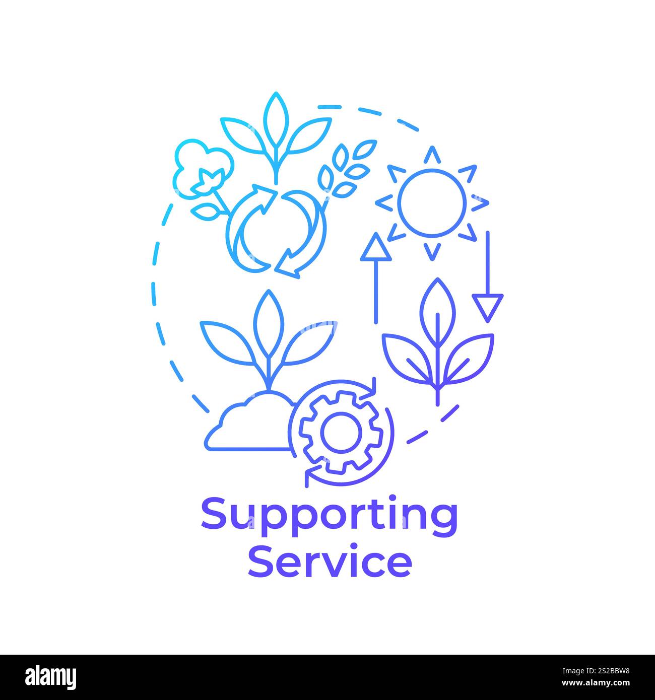 Plants complex life cycle Stock Vector Images - Alamy