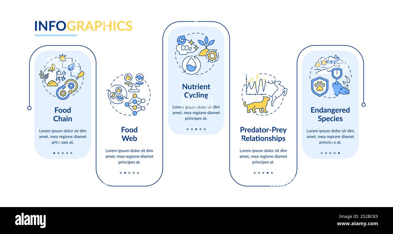 Ecological balance rectangle infographic vector Stock Vector Image ...