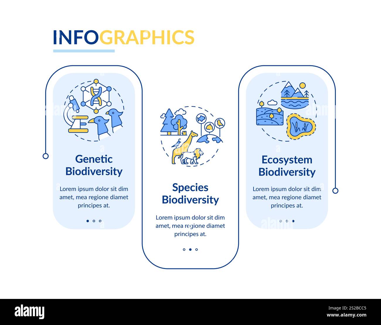 Types of biodiversity rectangle infographic vector Stock Vector Image ...