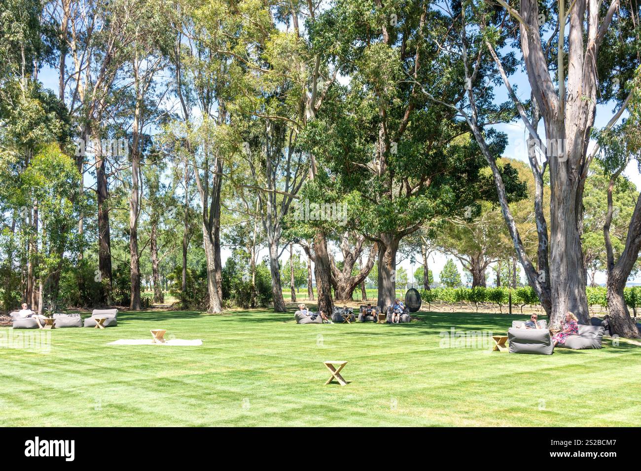 Garden at Cloudy Bay Winery on Marlborough Wine Trail, Jacksons Road ...