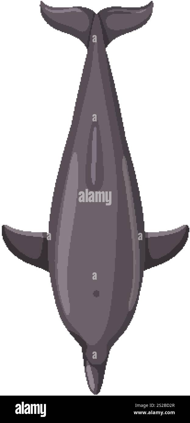 Vector illustration of a dolphin from above Stock Vector Image & Art ...