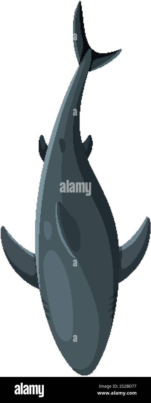 Vector illustration of a shark from above Stock Vector Image & Art - Alamy