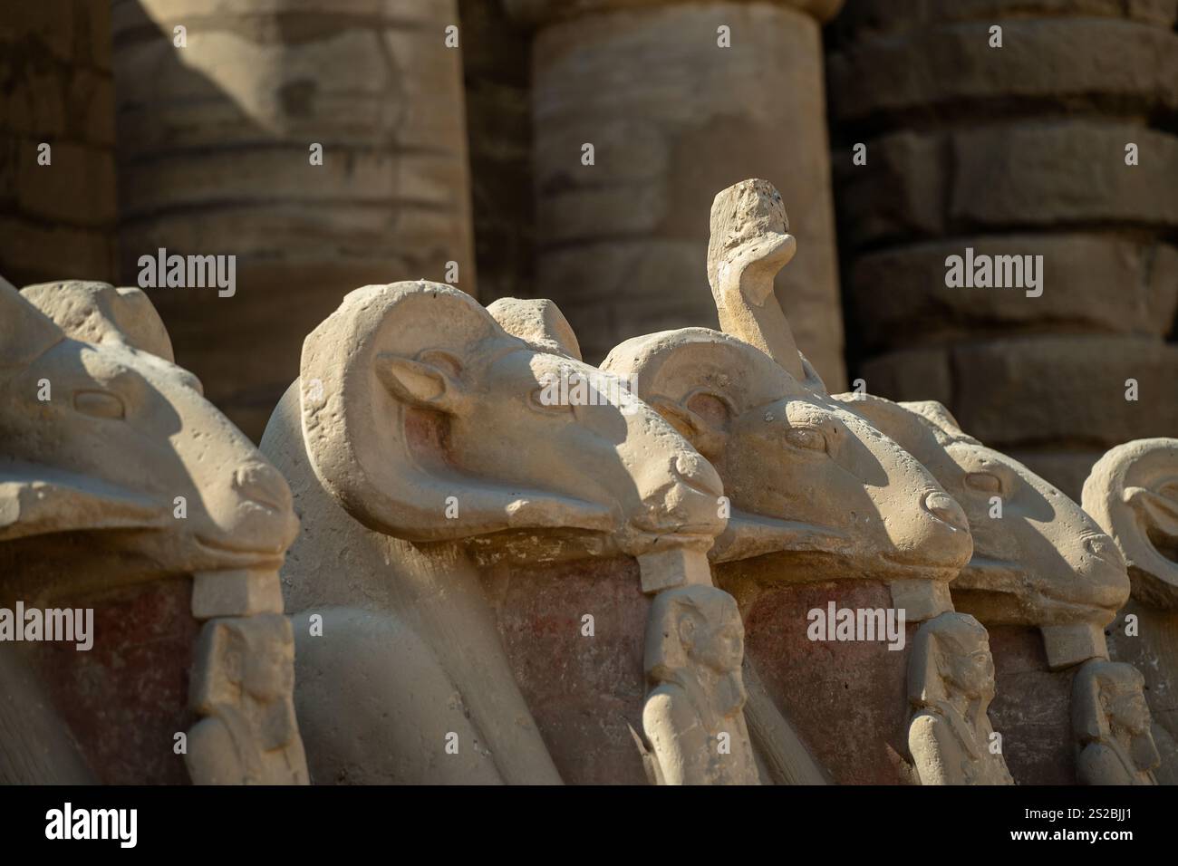 Ancient Egyptian Ram Sphinxes Close Up Stock Photo - Alamy