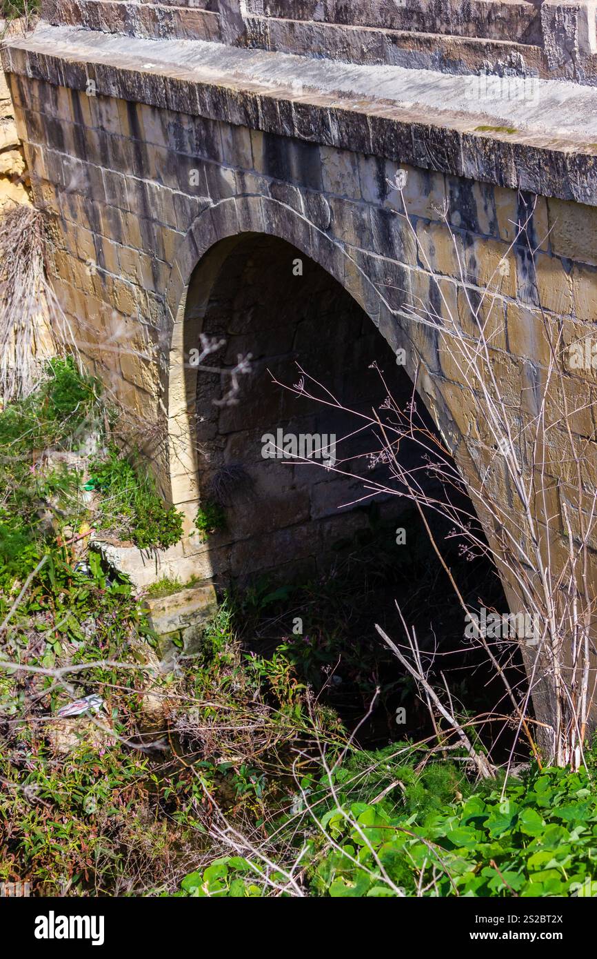 An aged stone bridge with an arch stands amidst overgrown greenery ...