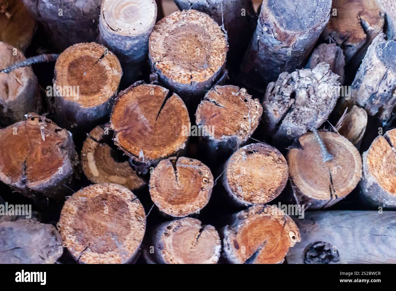 Stacked wooden logs forming a rustic texture, ideal for backgrounds and ...