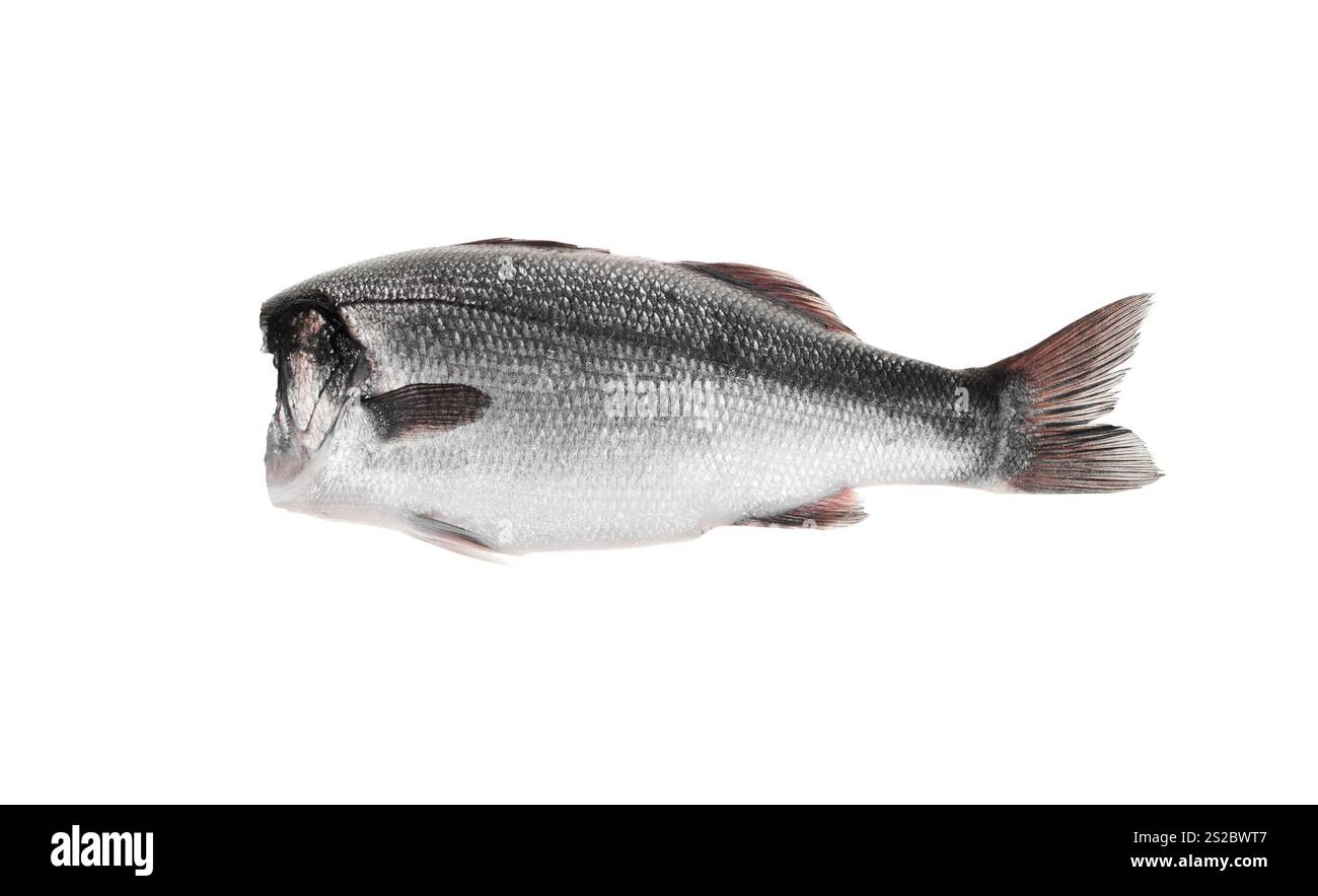fish without head on a white background Stock Photo - Alamy