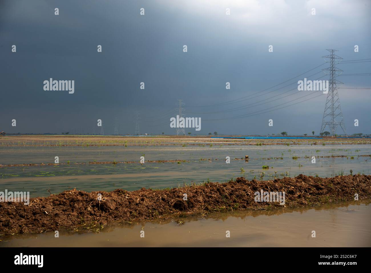 High voltage electricity tower on a vast watery land Stock Photo - Alamy
