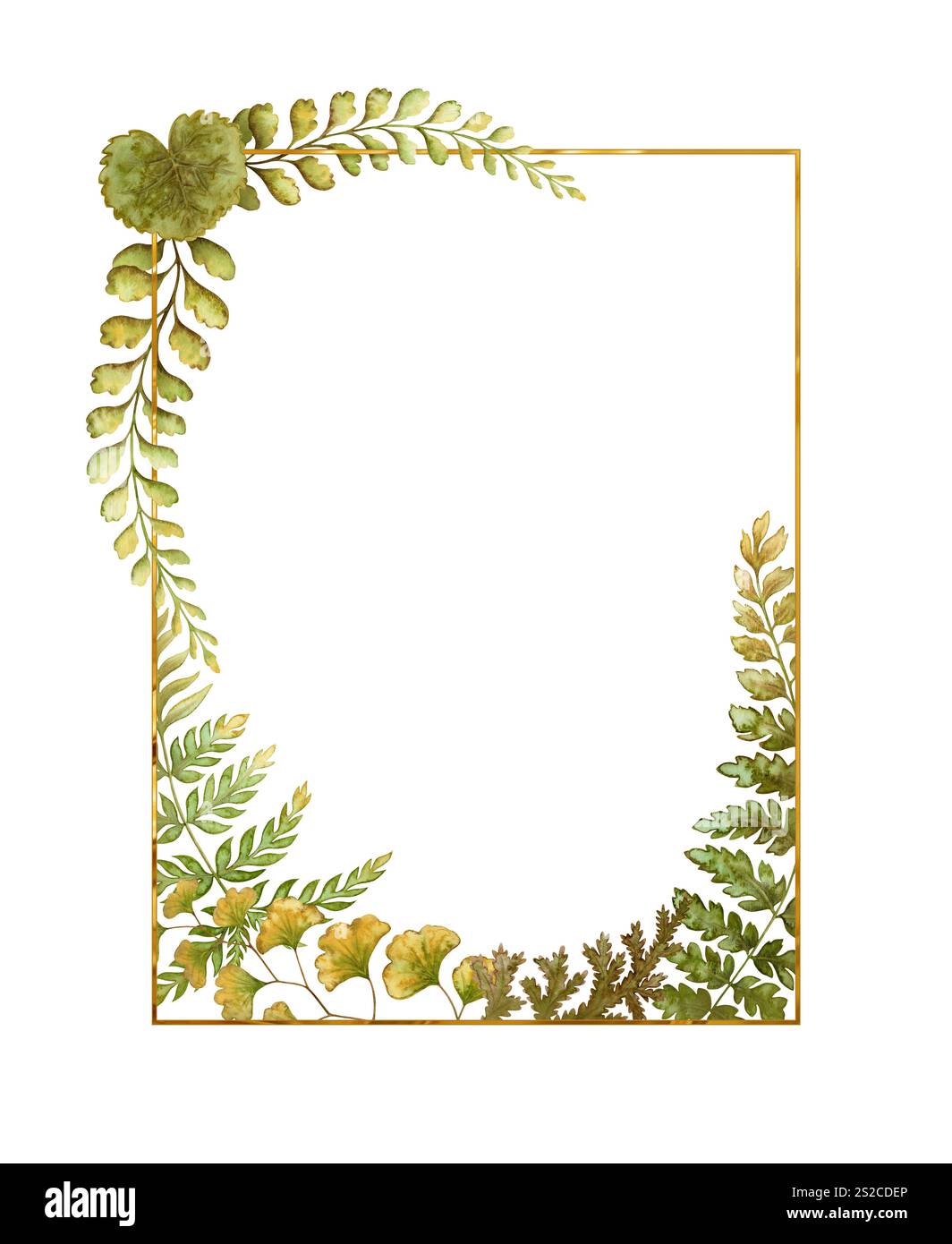 Rectangular frame with fern leaves botanical card template in earth ...