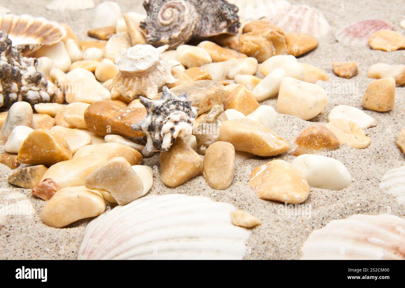 Sea shells and stones textured or background Stock Photo - Alamy