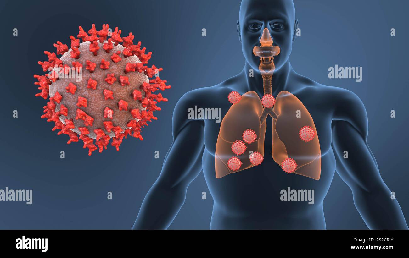 The human metapneumovirus or HMPV Stock Photo - Alamy