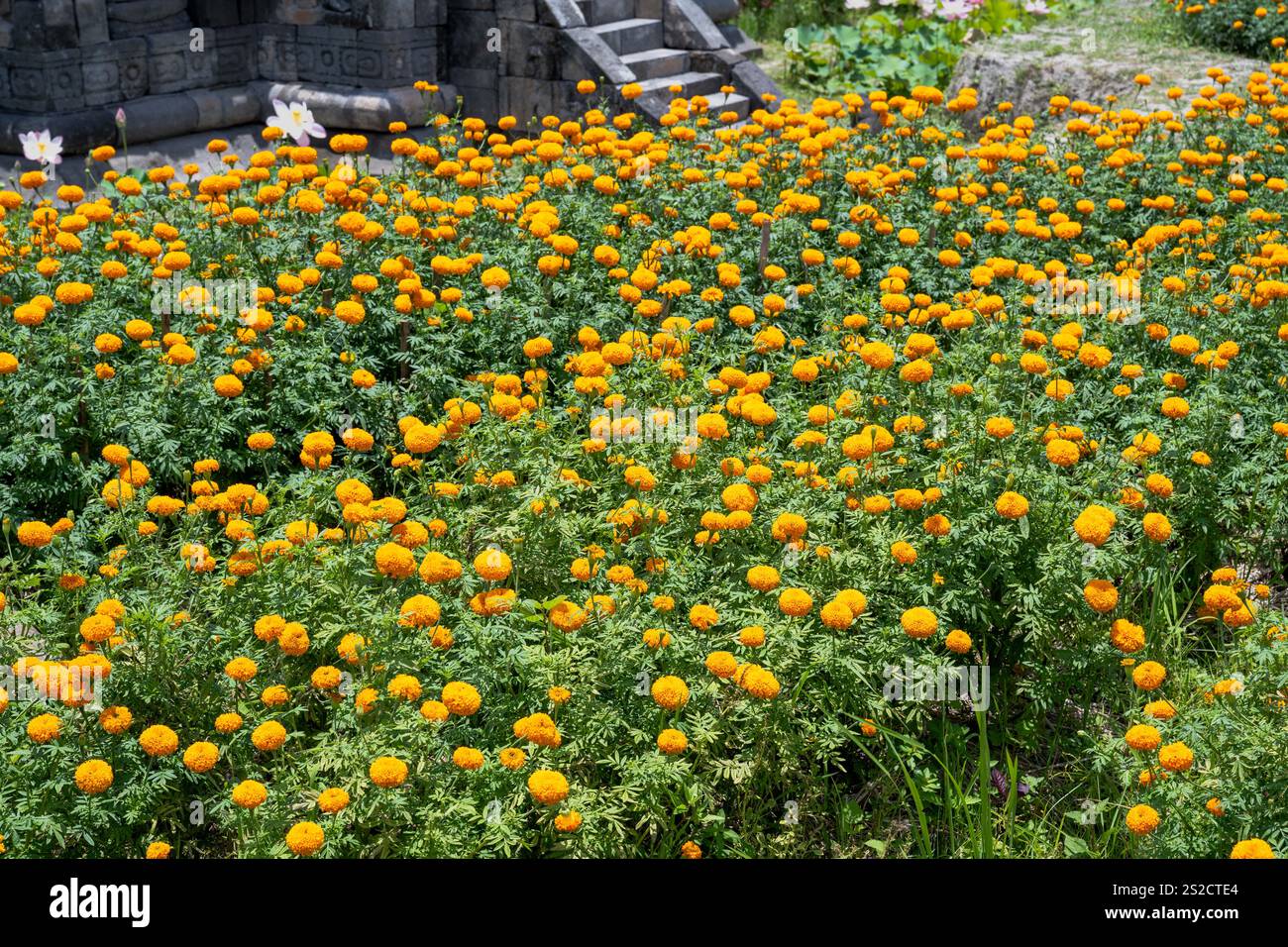 Bali, Indonesia - October 22, 2024: Maha Gangga Valley Restaurant view ...