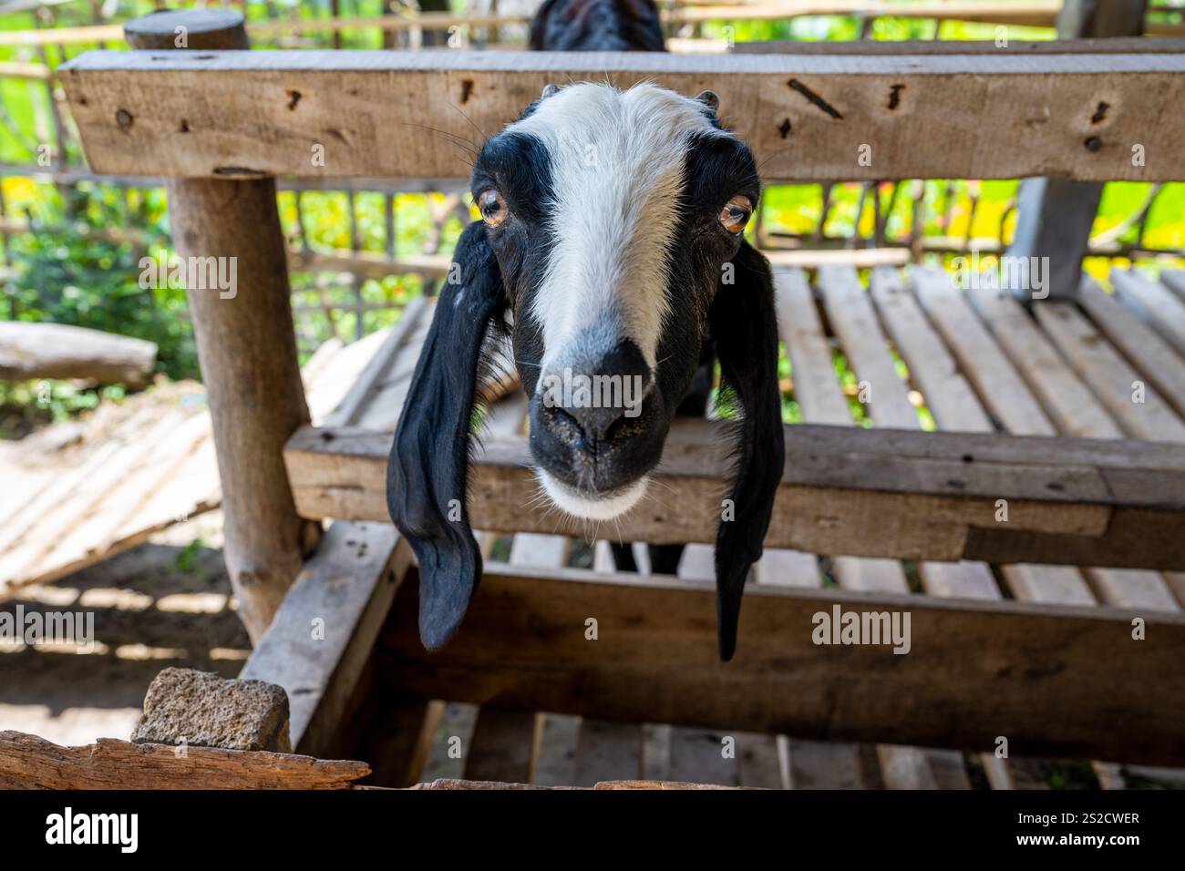 Bali, Indonesia - October 22, 2024: Maha Gangga Valley Restaurant view ...