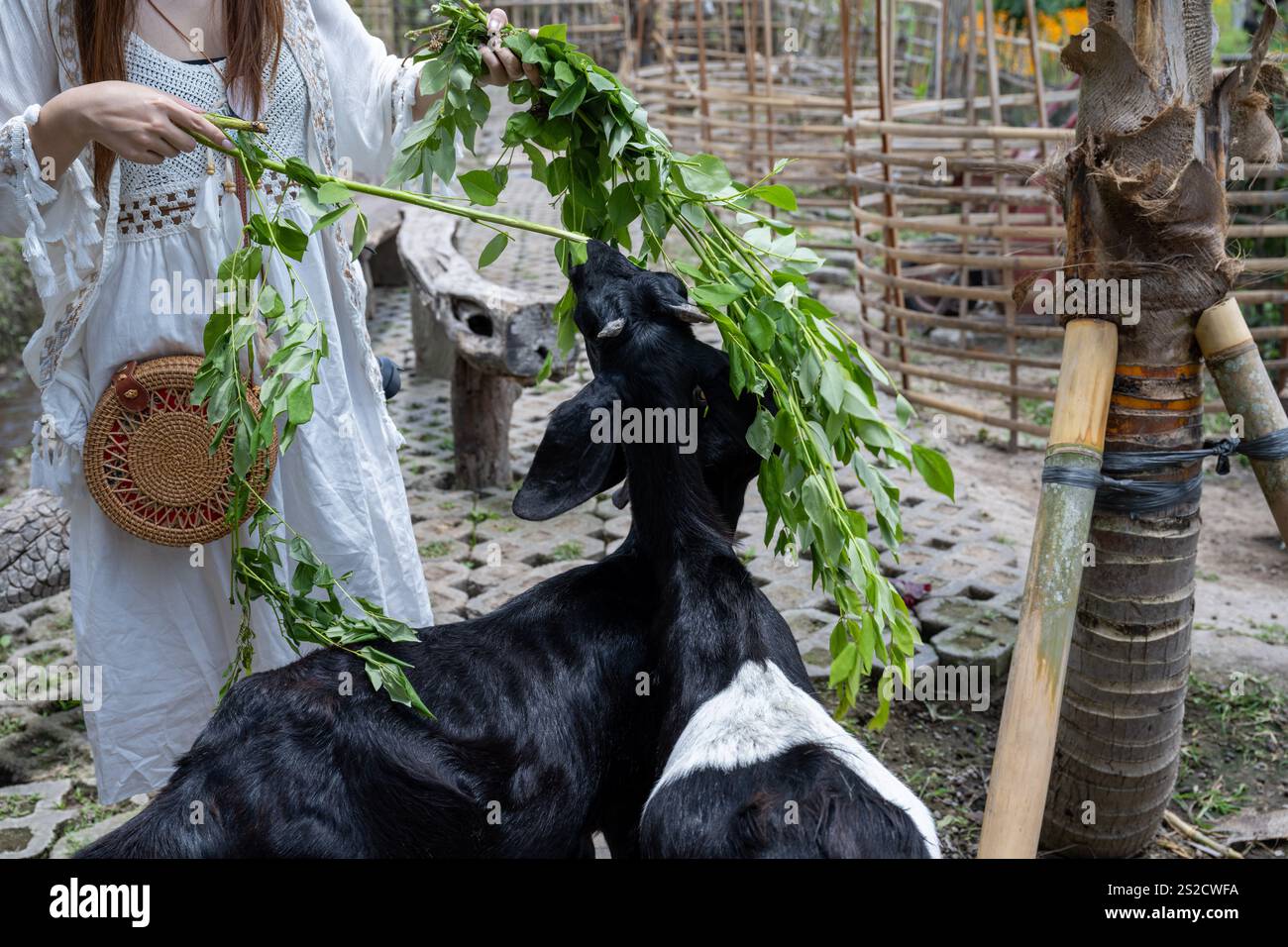 Bali, Indonesia - October 22, 2024: Maha Gangga Valley Restaurant view ...