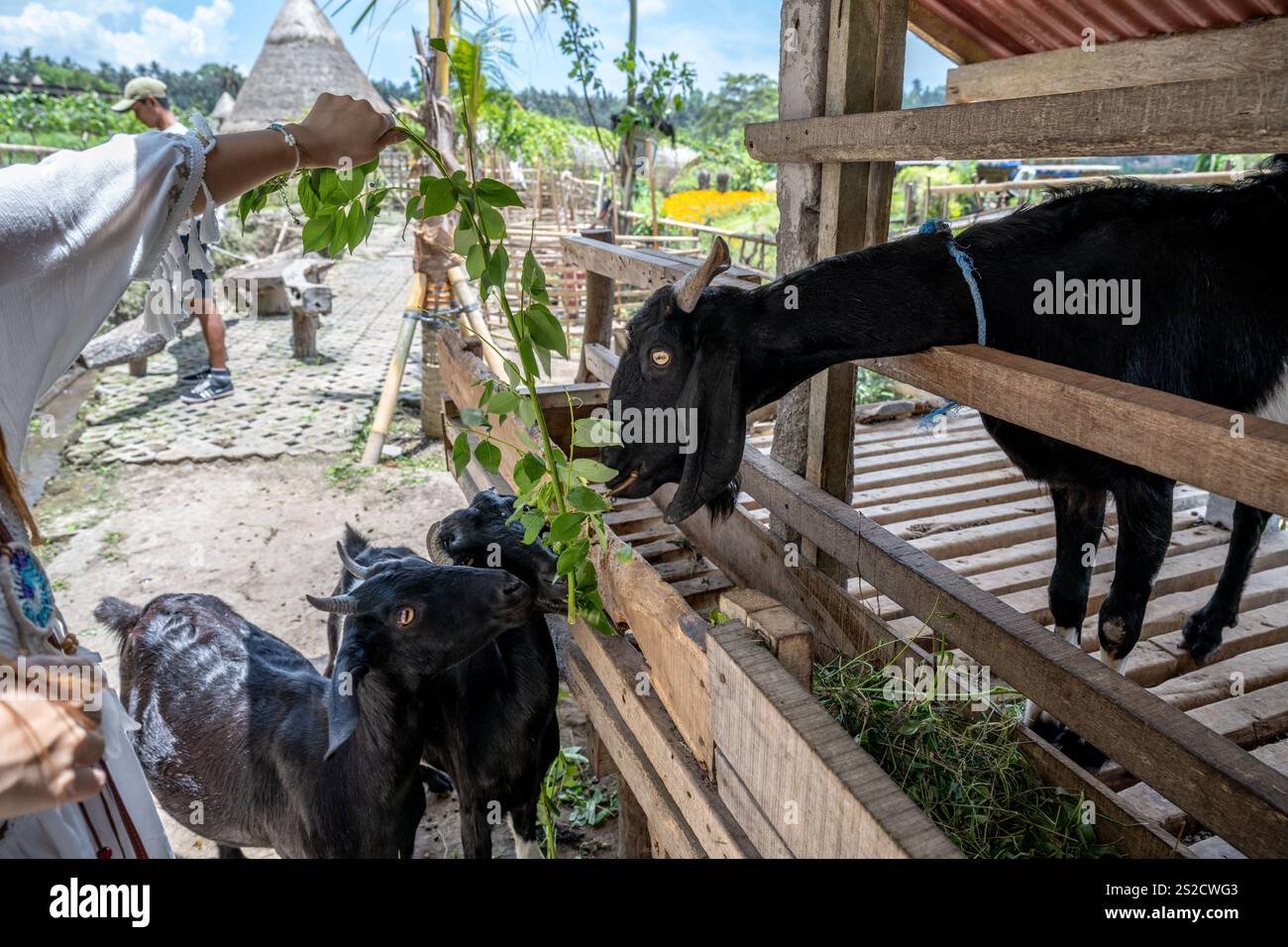 Bali, Indonesia - October 22, 2024: Maha Gangga Valley Restaurant view ...