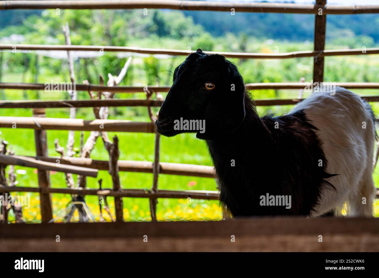 Bali, Indonesia - October 22, 2024: Maha Gangga Valley Restaurant view ...