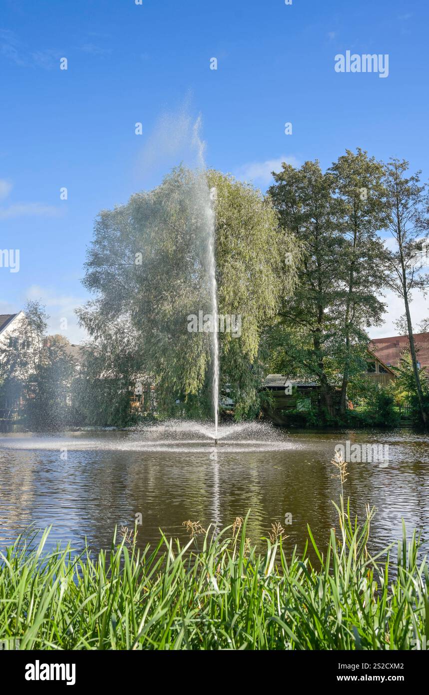 Fontäne im Teich, Kurpark, Bad Bodenteich, Niedersachsen, Deutschland ...
