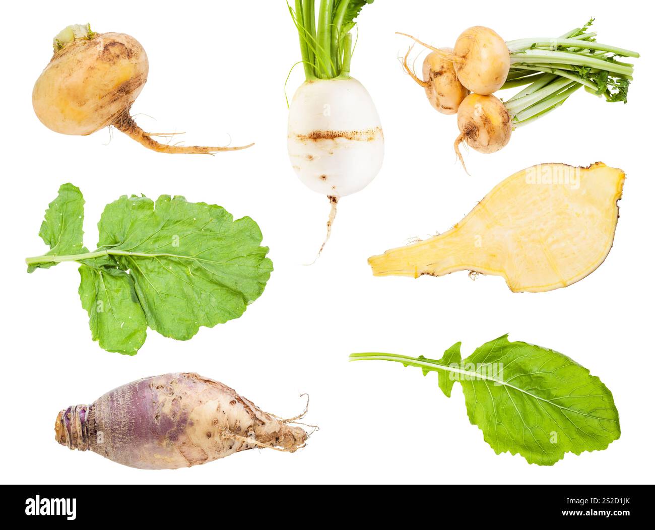 set of various brassica rapa vegetables isolated on white background ...