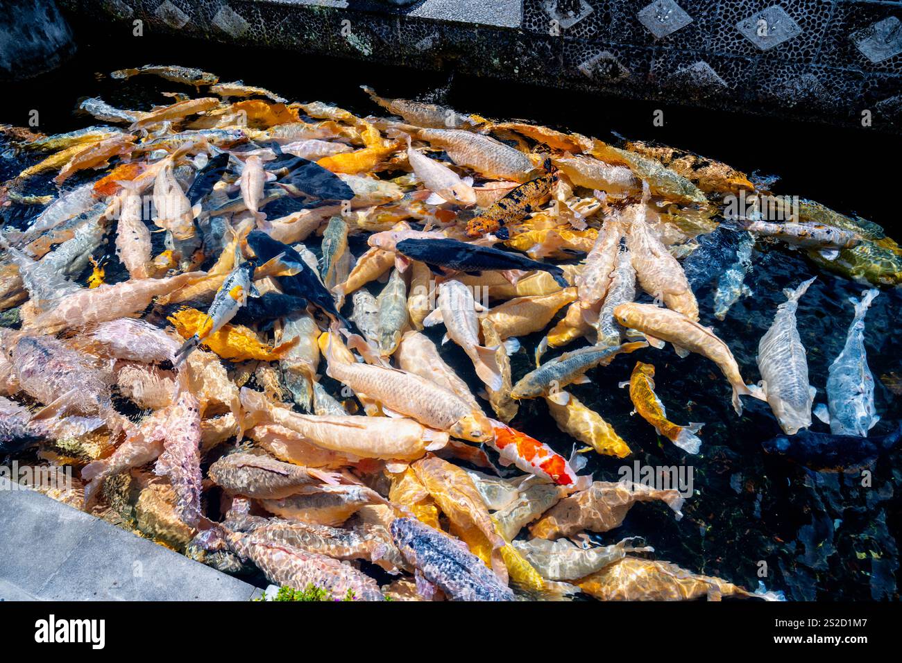 Bali, Indonesia - October 22, 2024: Tirta Gangga Water Palace in Bali ...