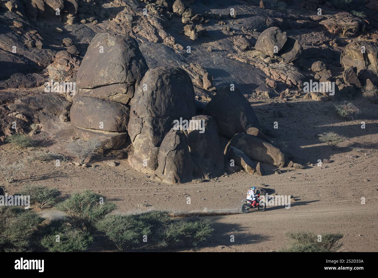 22 DOCHERTY Michael (zag), KTM, BAS World KTM Racing Team, FIM W2RC, Rally2, action during the ...