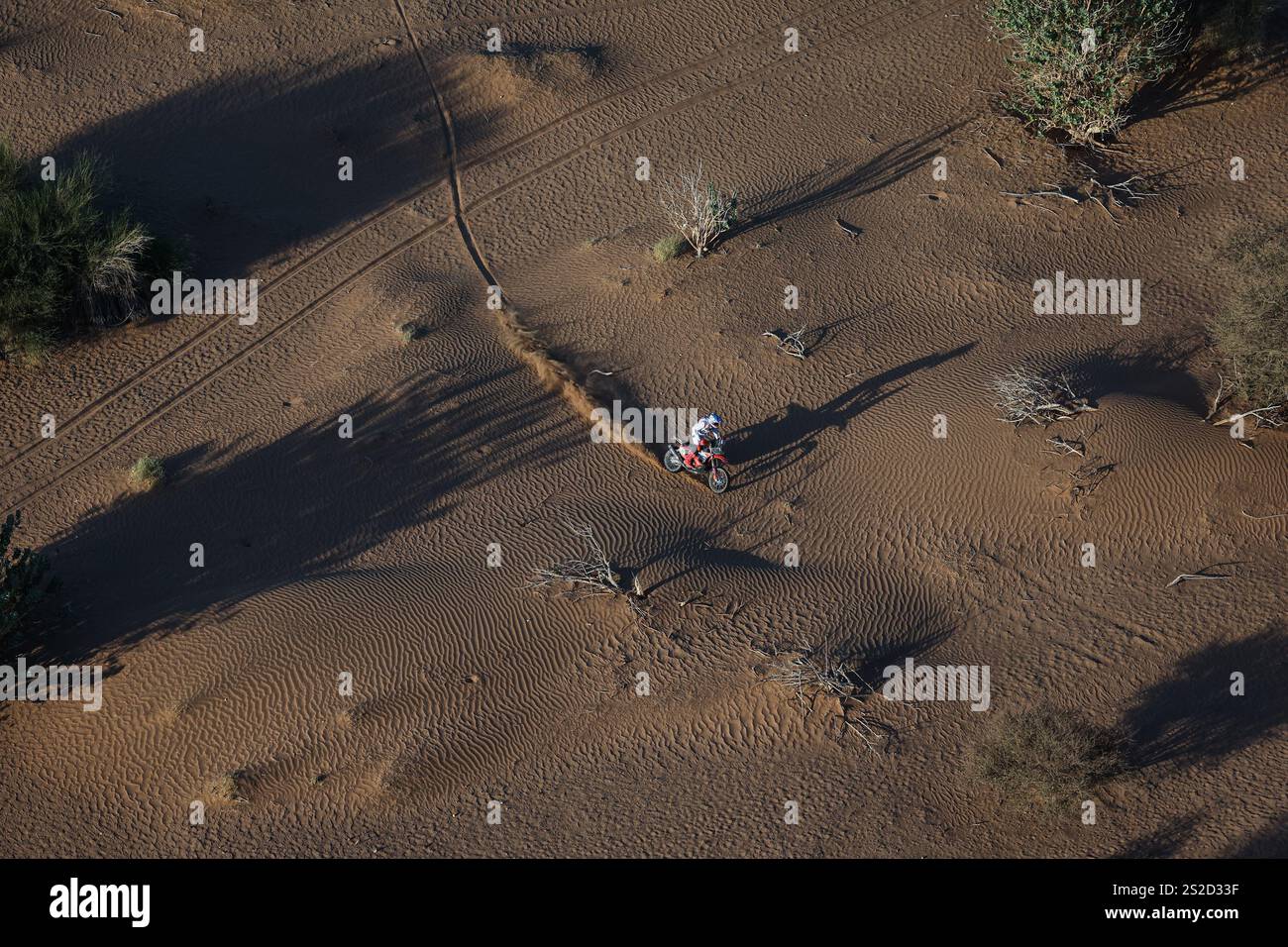 22 DOCHERTY Michael (zag), KTM, BAS World KTM Racing Team, FIM W2RC, Rally2, action during the ...