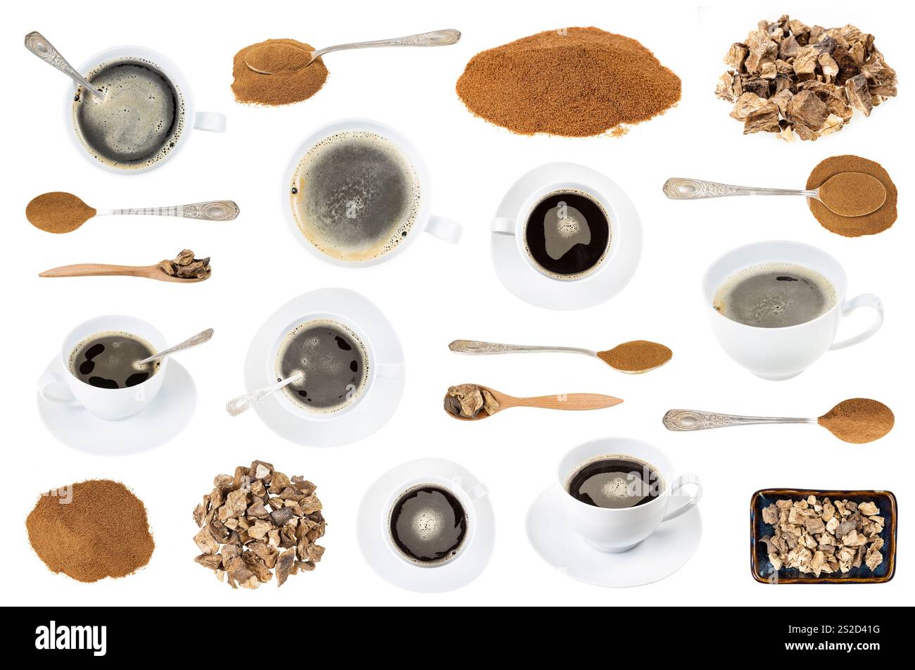 set of various chicory roots and drinks isolated on white background ...