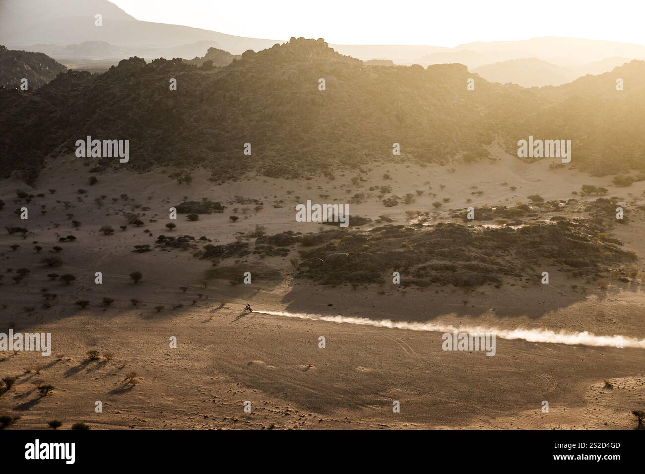 68 SCHAREINA Tosha (spa), Honda, Monster Energy Honda HRC, Motul ...