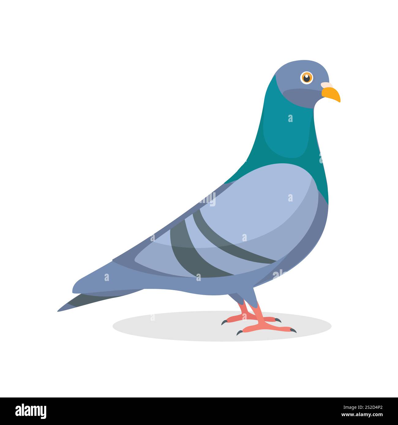 Cartoon character pigeon bird isolated on white background. Vector ...