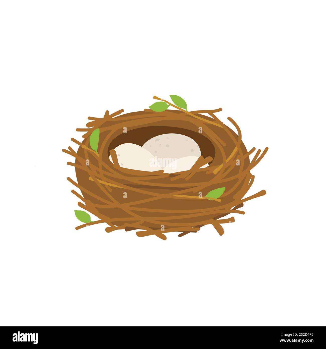 Bird nest with three eggs inside isolated on white background. Vector ...