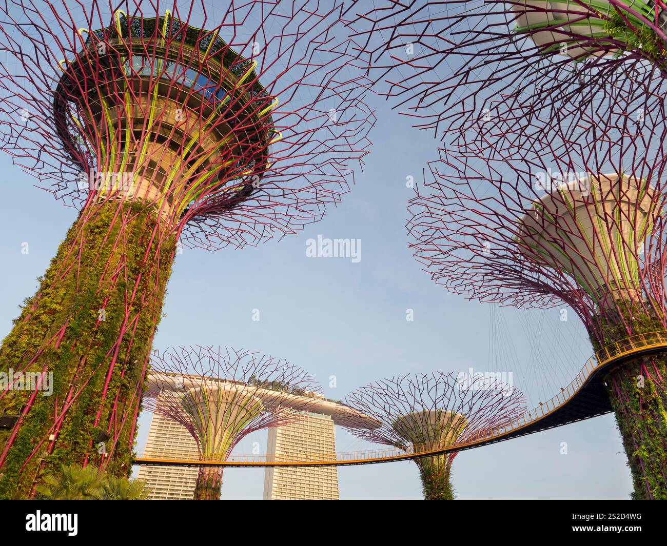 Elevated Skywalk amidst a grove of supertrees in the Gardens by the Bay ...