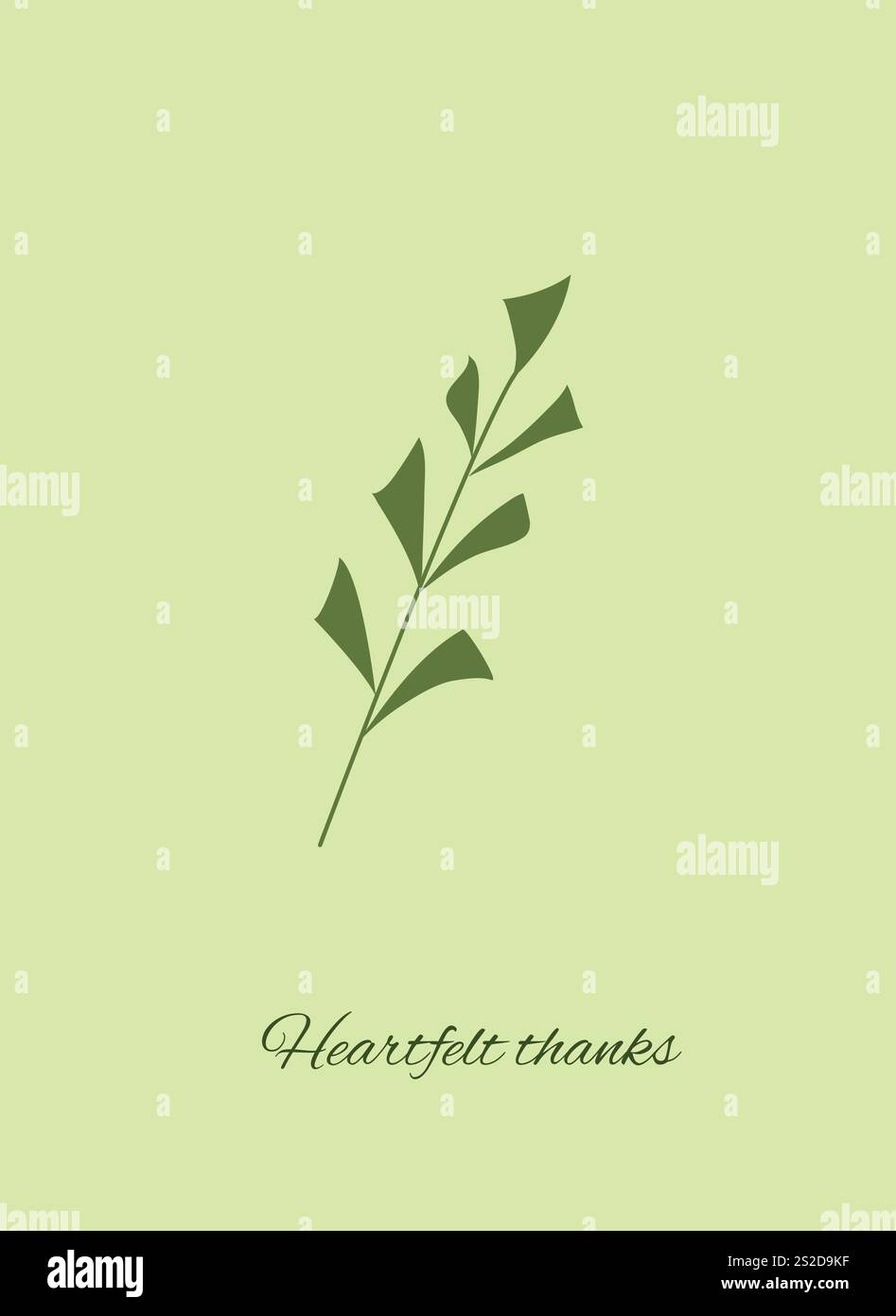 Delicate thankful card. Green leaves on green background. Spring floral ...