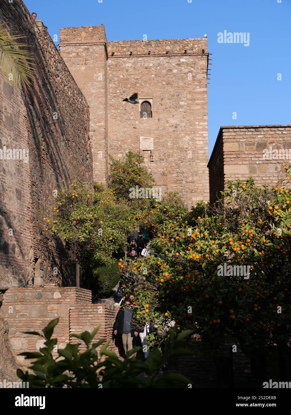 Mighty tower in the Alcazaba, a medieval Moorish-style fortress in ...