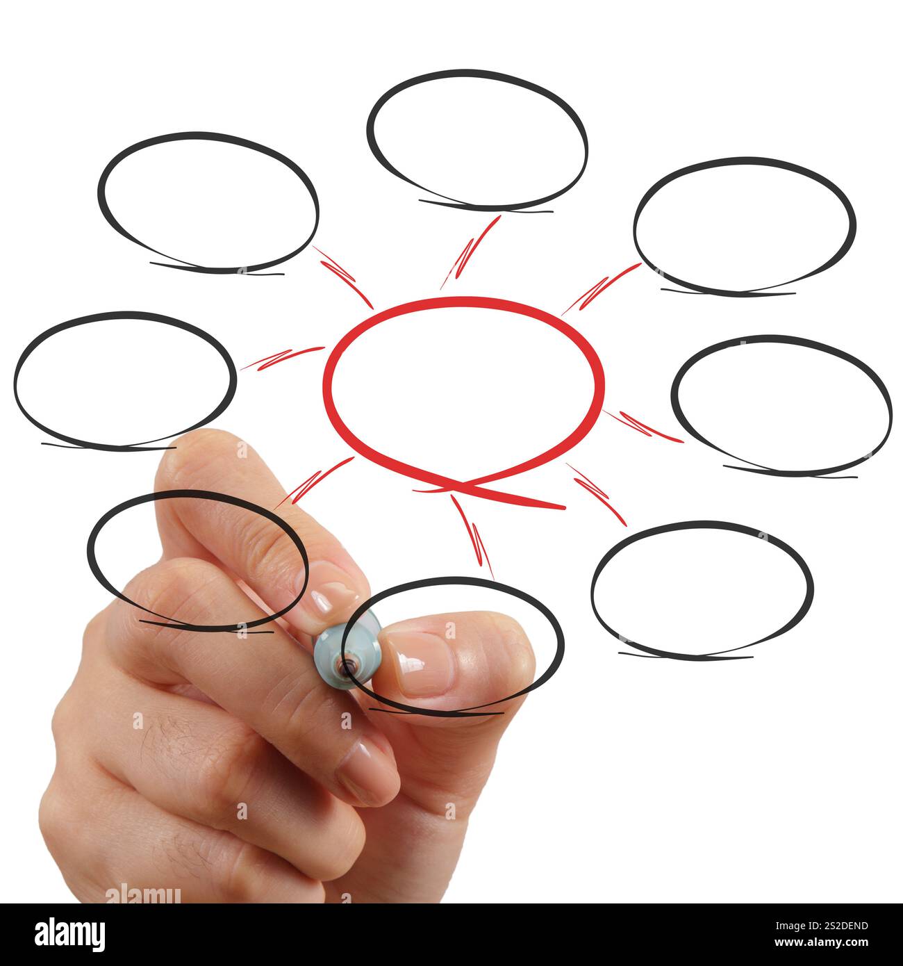 female hand drawing an empty diagram as concept Stock Photo - Alamy