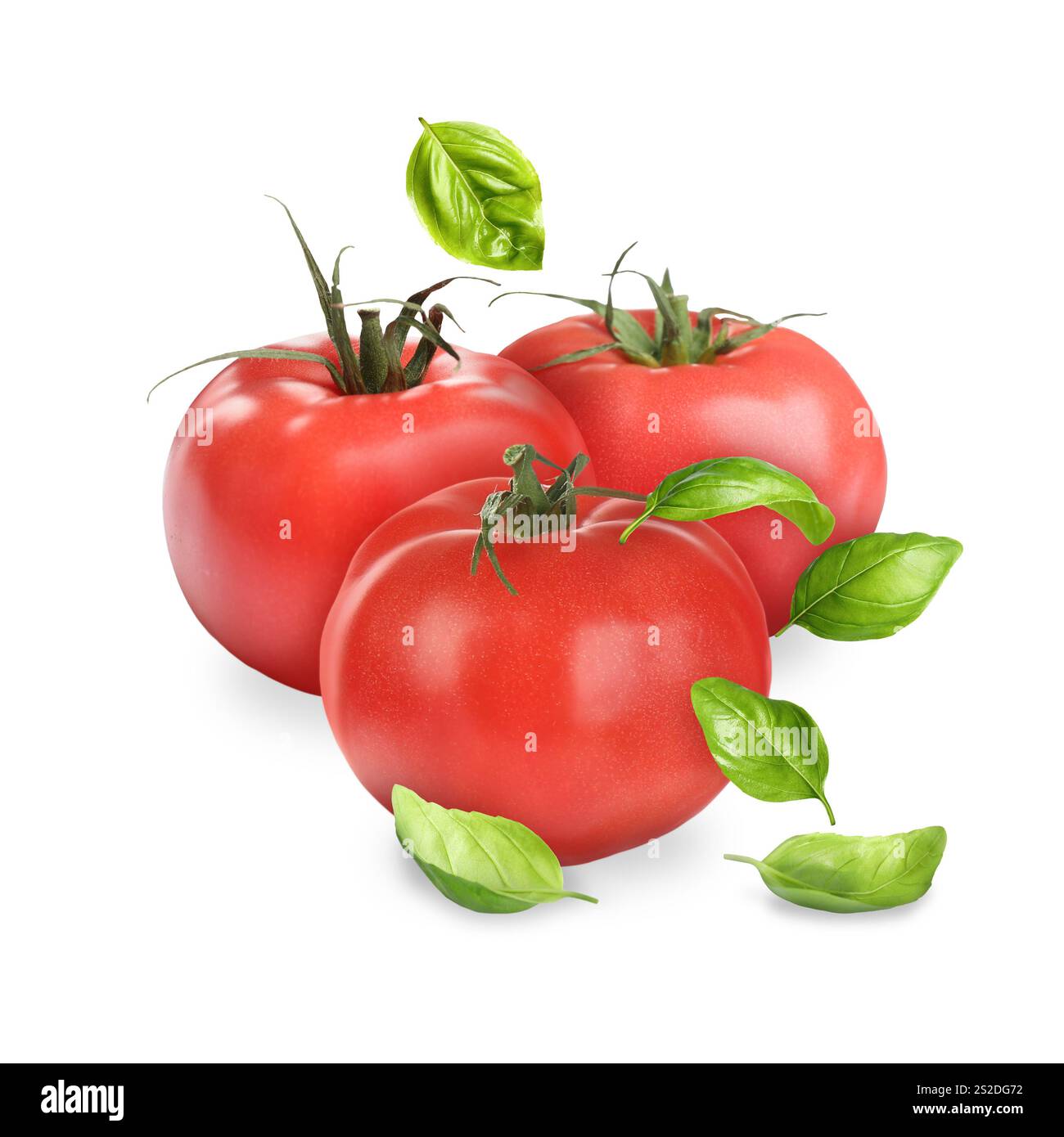 Fresh raw tomatoes and aromatic basil leaves isolated on white Stock ...