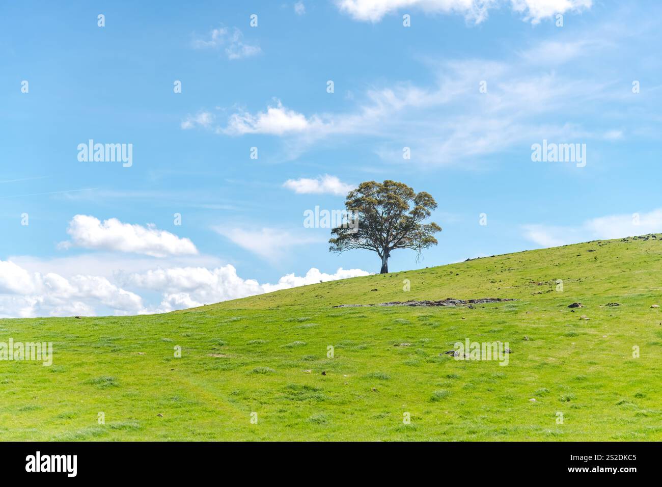 Exploring the countryside around Neville and Blayney in the Blayney ...