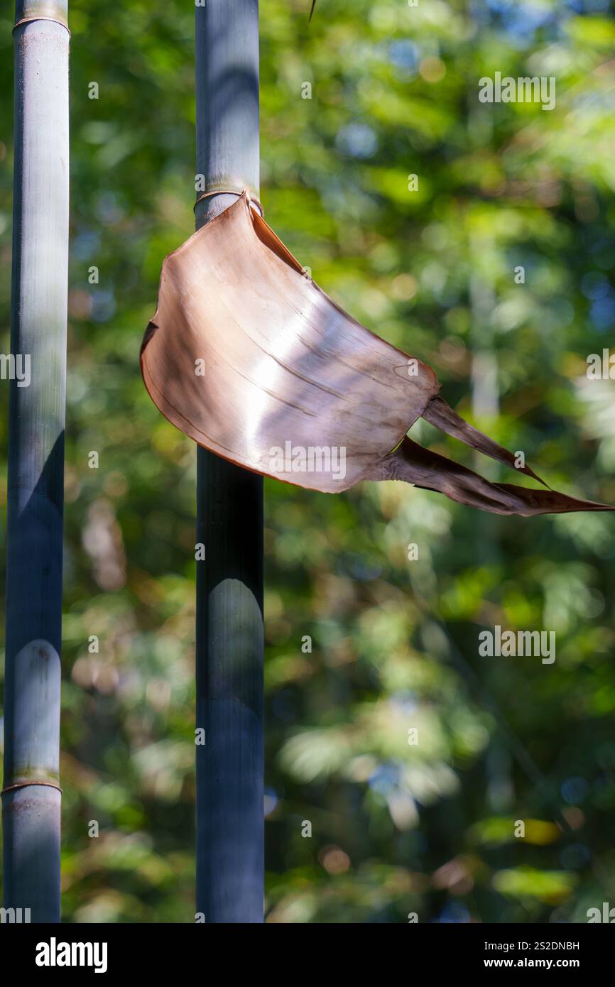 things in the shadow and light Stock Photo - Alamy