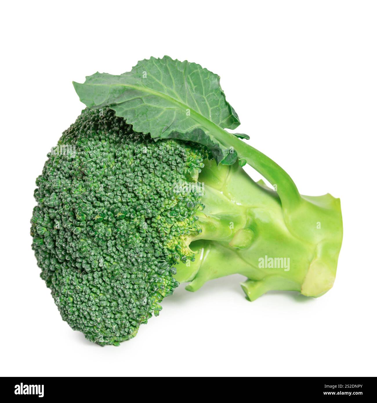 Thick green stalk Cut Out Stock Images & Pictures - Alamy